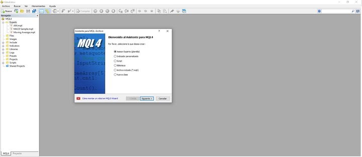 Scopri MQL4 MQL5 | Programmazione MQL4 e linguaggio MQL5 manuale - Admirals